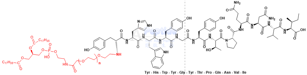 DSPE-PEG-GE11(二硬脂酰基磷脂酰乙醇胺-聚乙二醇-肿瘤细胞表皮生长因子EGFR靶向肽);DSPE-PEG-YHWYGYTPQNVI ...