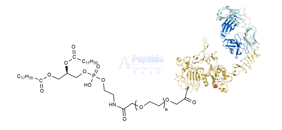 DSPE-PEG-Anti-CD20 mAb；磷脂-聚乙二醇-肿瘤靶向蛋白 - 楚肽生物科技