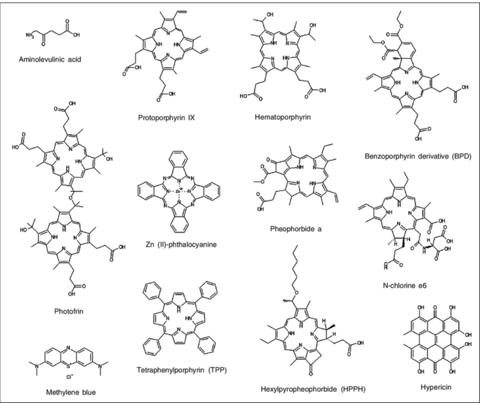 常见的几种光敏剂（PDT光动疗法中）-8种光敏剂mTHPC/Ce6/Ppa/HPPH/NPe6/BPMppa/叶绿素-a/脱镁叶绿酸-a介绍 ...