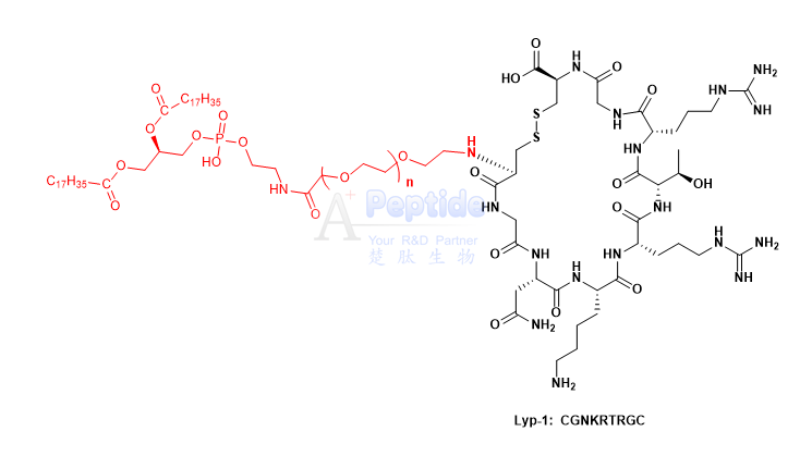 DSPE-PEG-LyP-1(CGNKRTRGC)（二硬脂酰基磷脂酰乙醇胺-聚乙二醇-肿瘤靶向蛋白)；肿瘤淋巴管归巢肽 - 楚肽生物科技