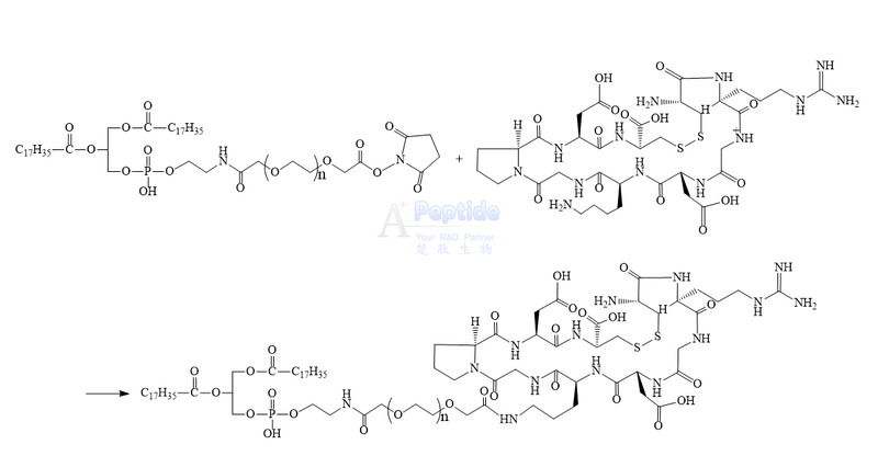 DSPE-PEG-iRGD(肿瘤新生血管靶向肽);DSPE-PEG-iRGD(二硬脂酰基磷脂酰乙醇胺-聚乙二醇-整合素靶向环肽) - 楚肽生物科技